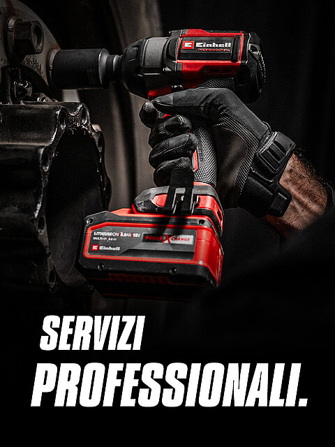 Einhell PROFESSIONAL per veri professionisti | Einhell.it